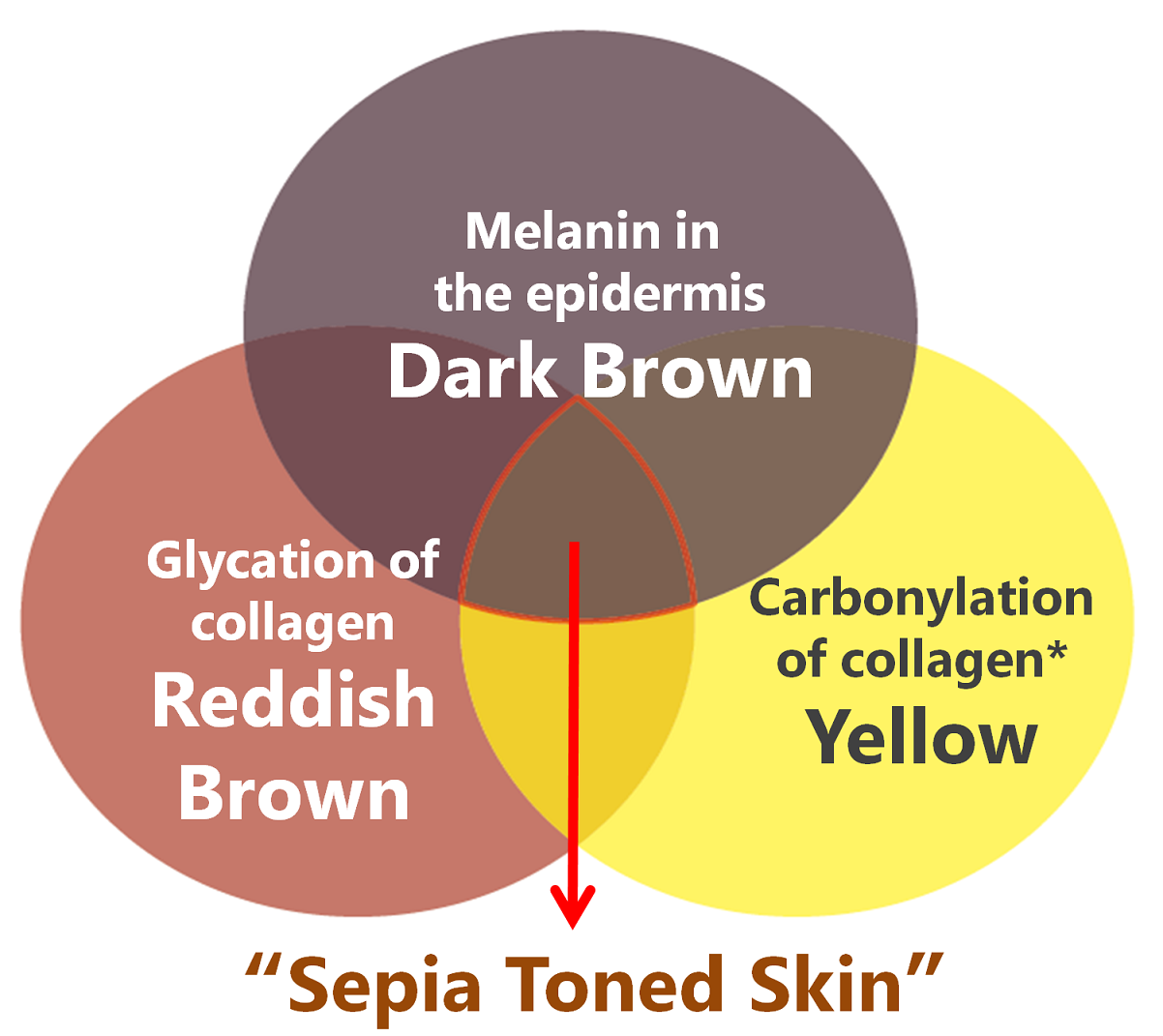 ALBION Official Singapore Website | ALBION